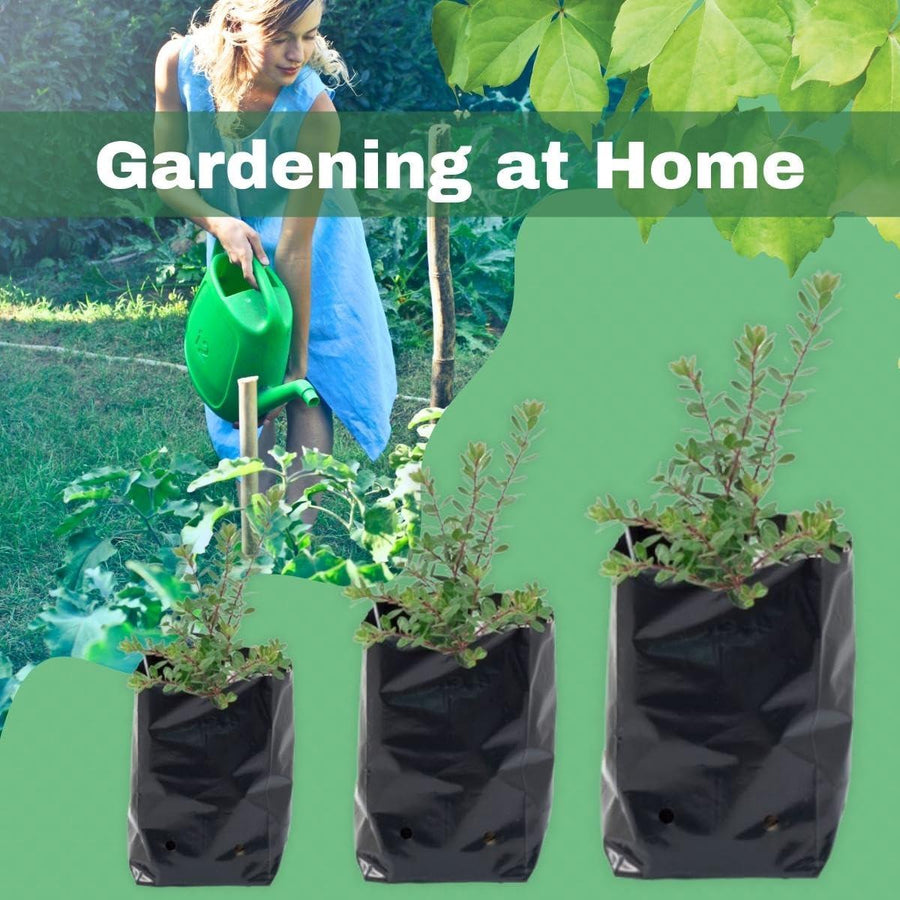 Buy SINGHAL HDPE Poly Grow Bags 9x10 Inch | UV-Resistant Nursery Bags ...